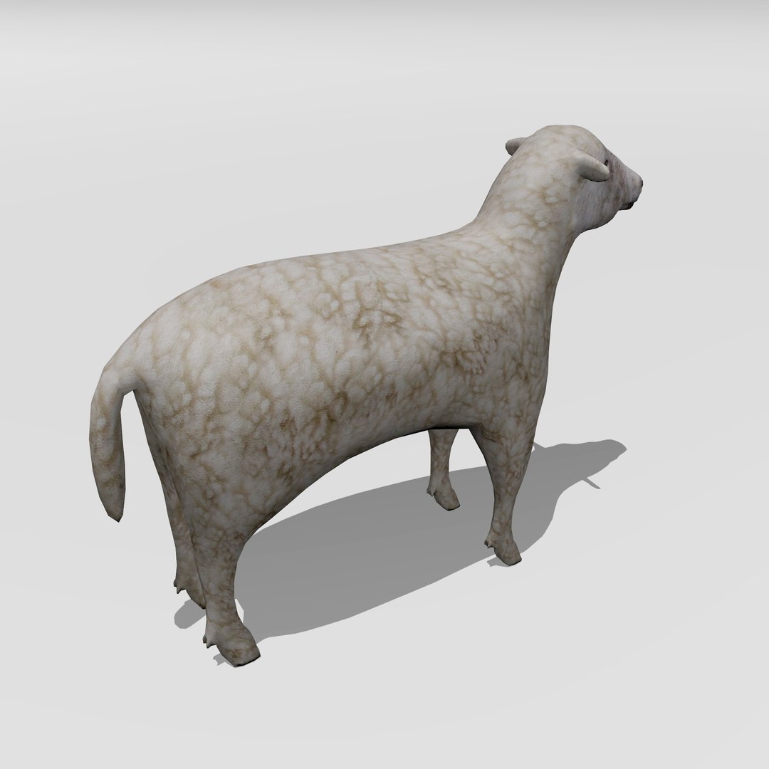 3D Lamb Model - TurboSquid 1226555