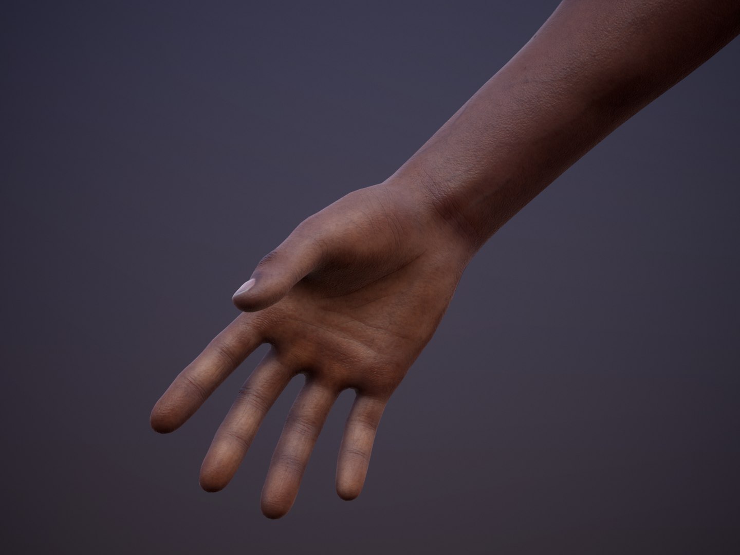 First Person Arms - 2 3D Model - TurboSquid 1742675