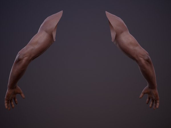 First Person Arms - 2 3D model - TurboSquid 1742675