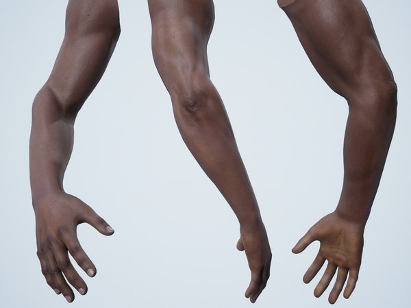 First Person Arms - 2 3D model - TurboSquid 1742675