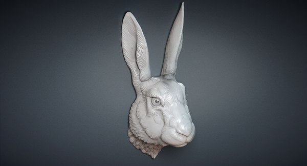 Rabbit hare head sculpture model - TurboSquid 1226964
