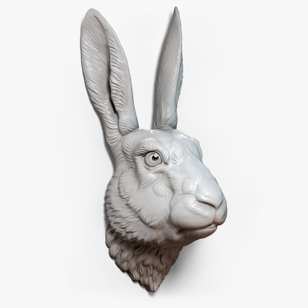 Rabbit hare head sculpture model - TurboSquid 1226964