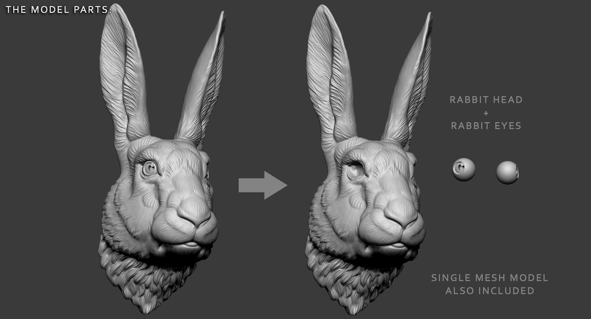 Rabbit Hare Head Sculpture Model - TurboSquid 1226964