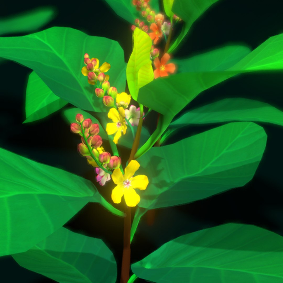 Flower Simpor Model - TurboSquid 2132114