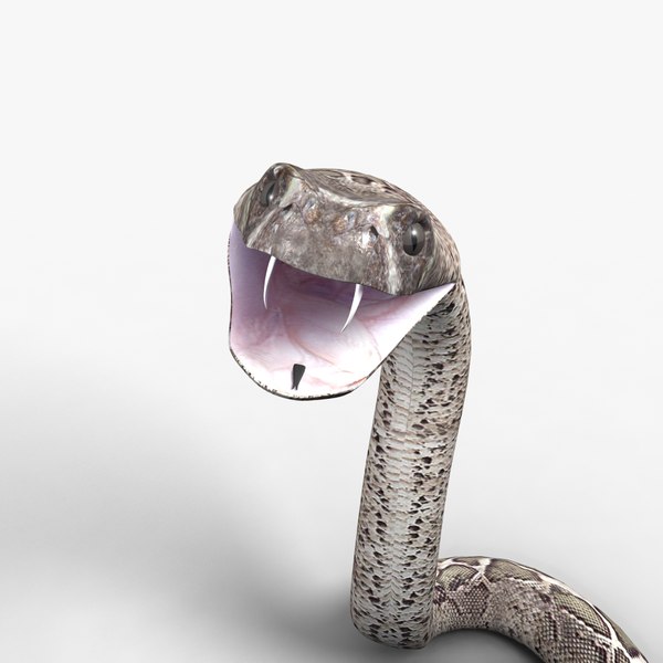 3d western diamondback rattlesnake rigged model