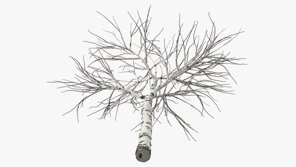 3D model Winter Trees Collection 9 - TurboSquid 1916208