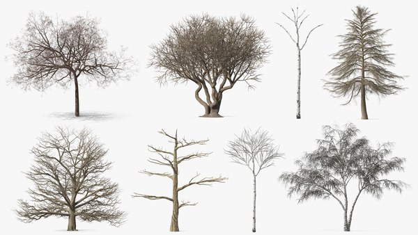 3D model Winter Trees Collection 9 - TurboSquid 1916208