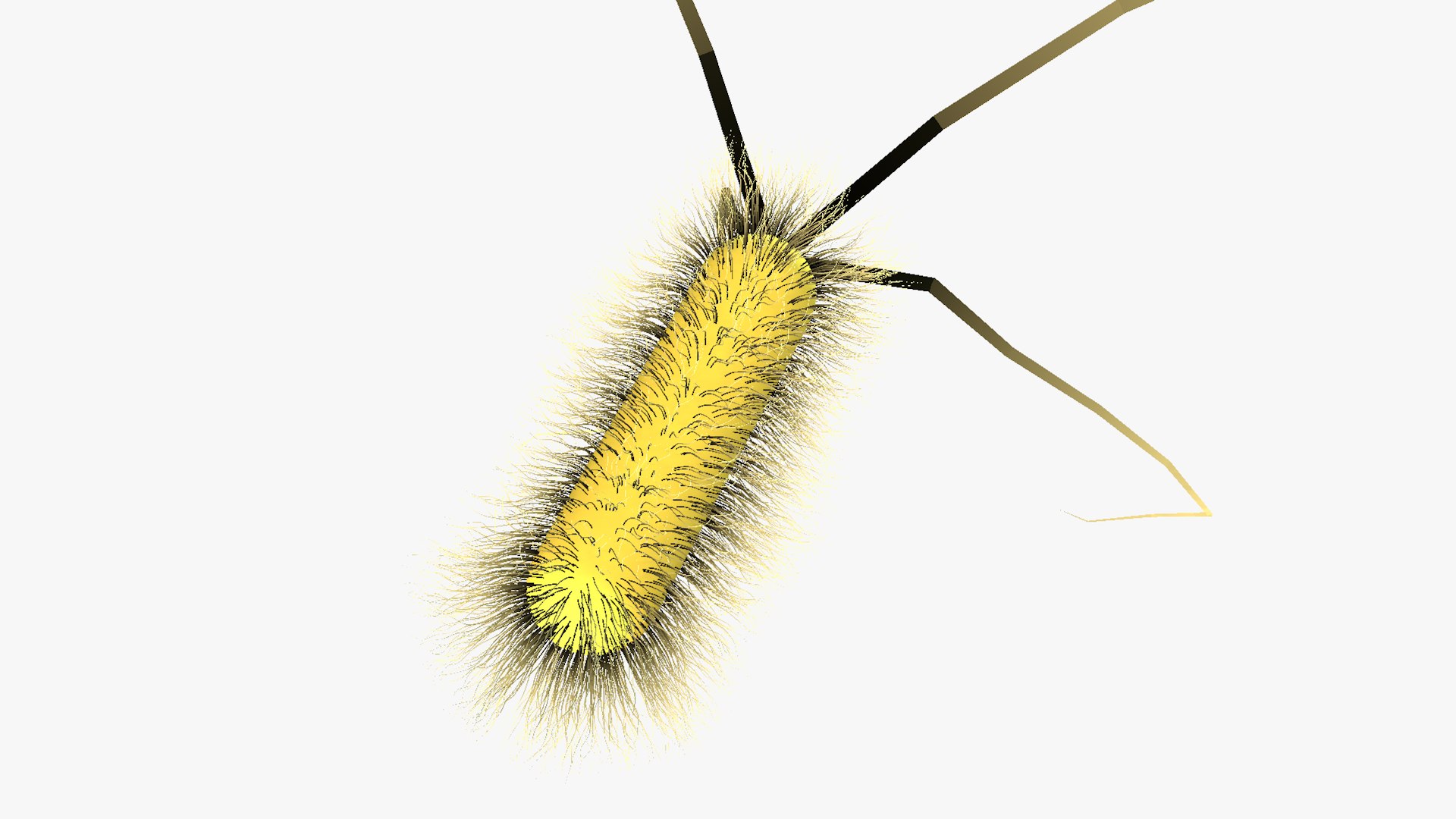 Bacteria 3D - TurboSquid 1955847