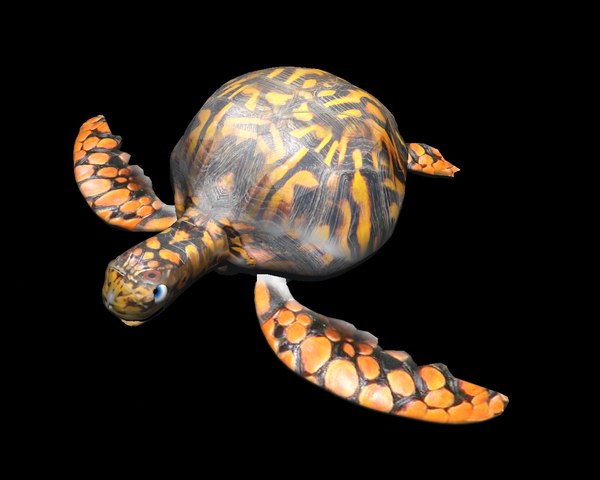 turtle 3d 3ds