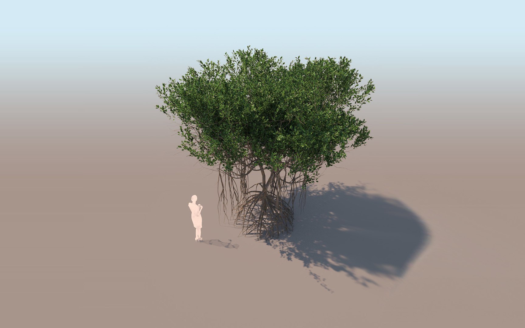 10 Mangrove Rhizophora Mangle Models Collection 3D Model - TurboSquid ...