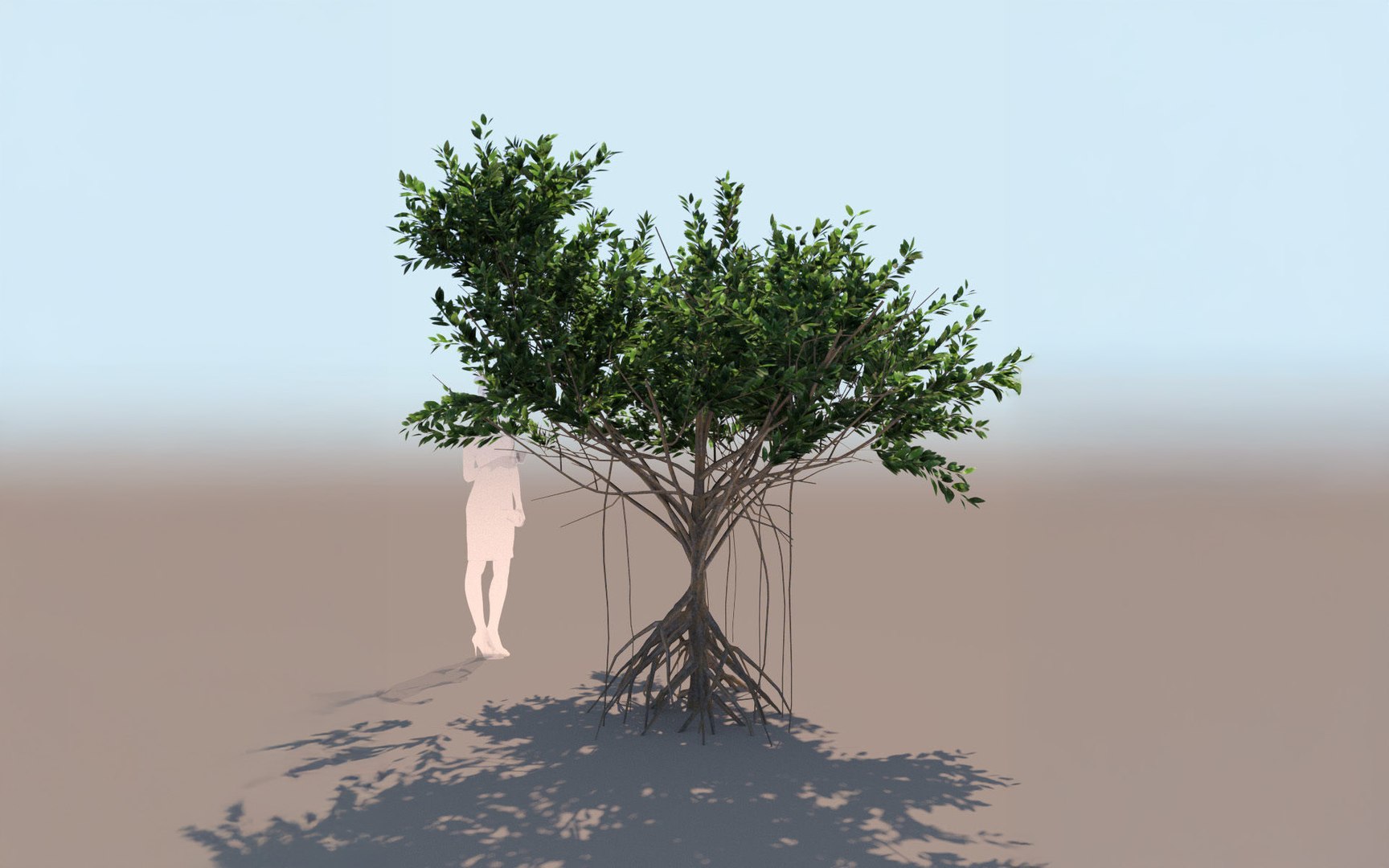 10 Mangrove Rhizophora Mangle Models Collection 3D Model - TurboSquid ...