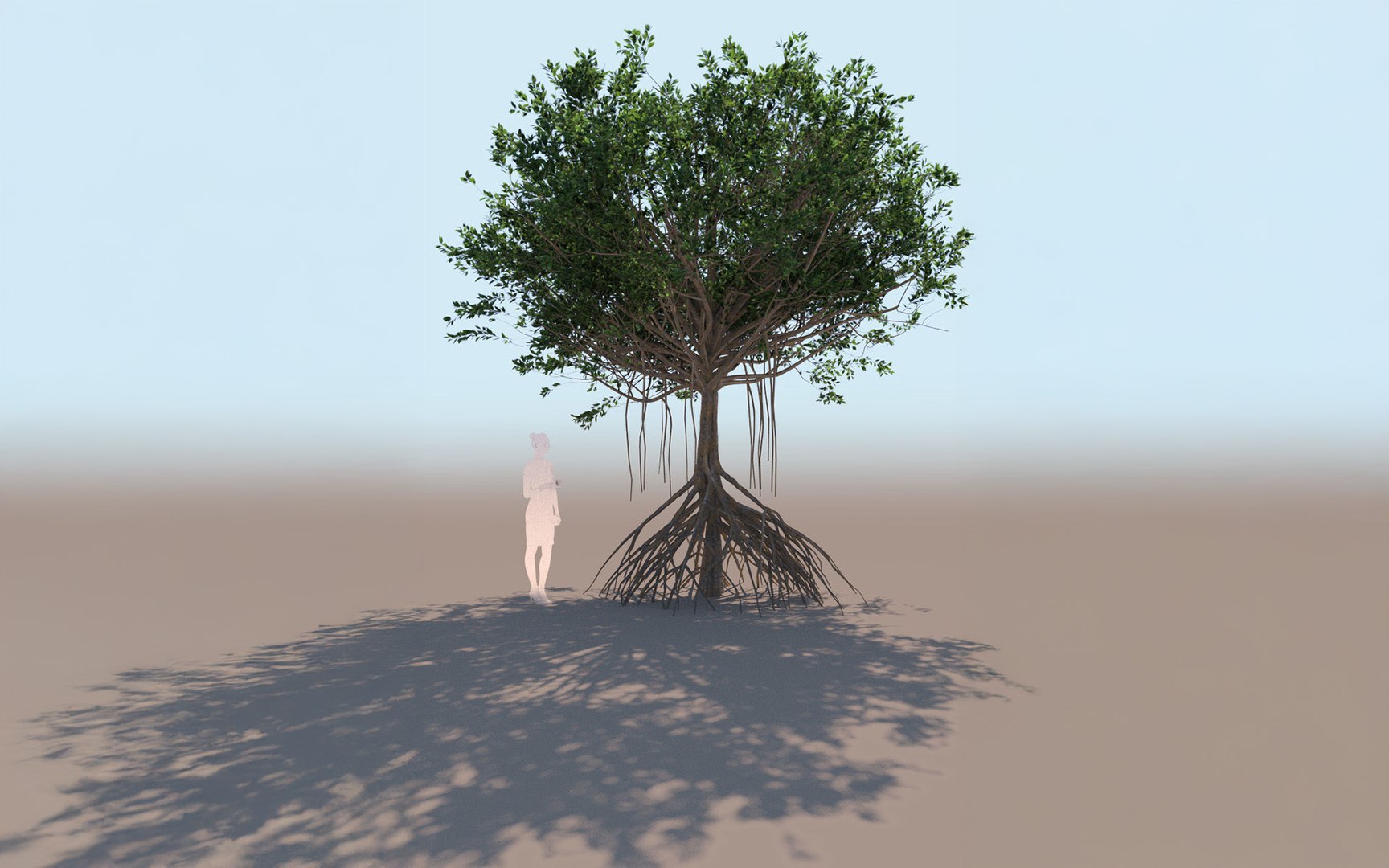 10 Mangrove Rhizophora Mangle Models Collection 3D Model - TurboSquid ...