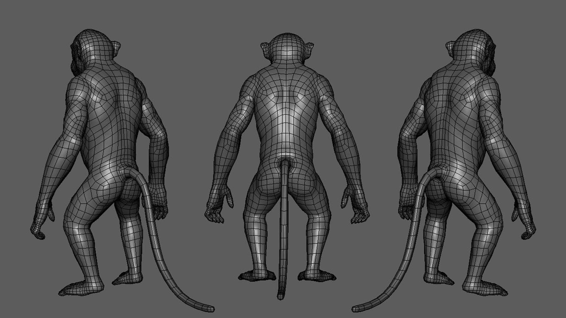 3D monkey 2 - TurboSquid 2096633