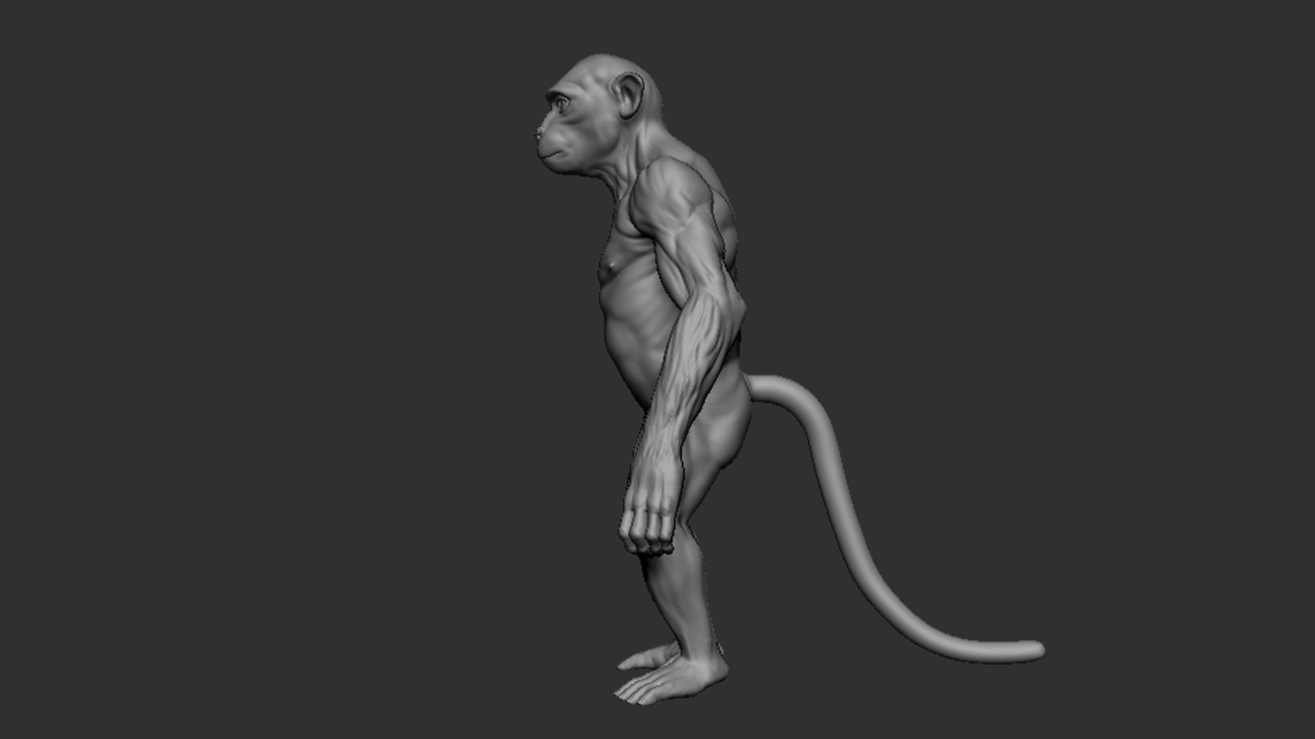 3D monkey 2 - TurboSquid 2096633