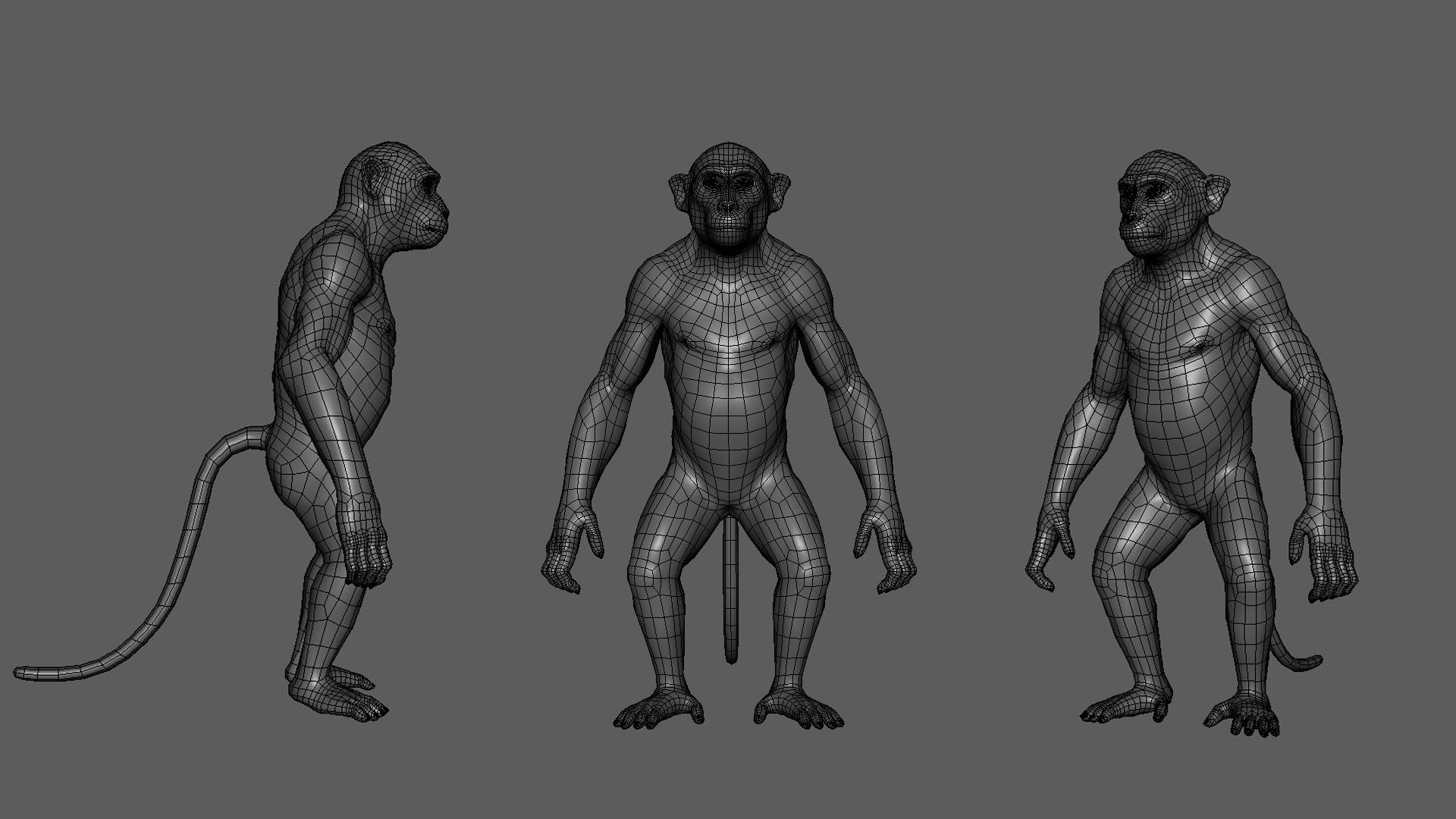 3D monkey 2 - TurboSquid 2096633
