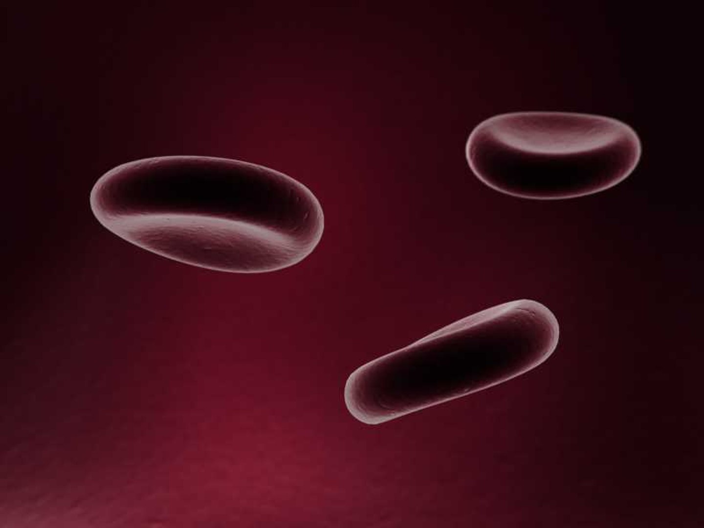3d blood cells