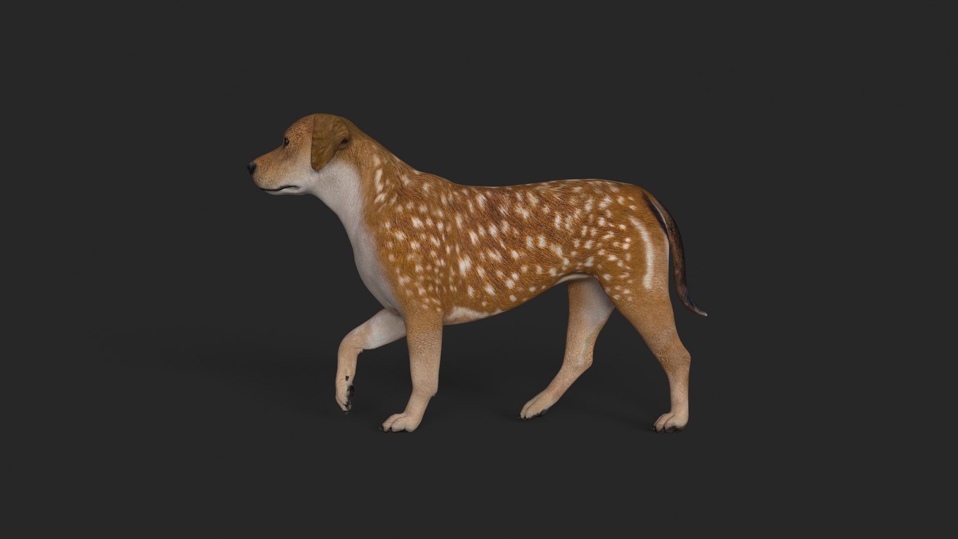 3D LAB-029 Dog Walking Model - TurboSquid 1914720