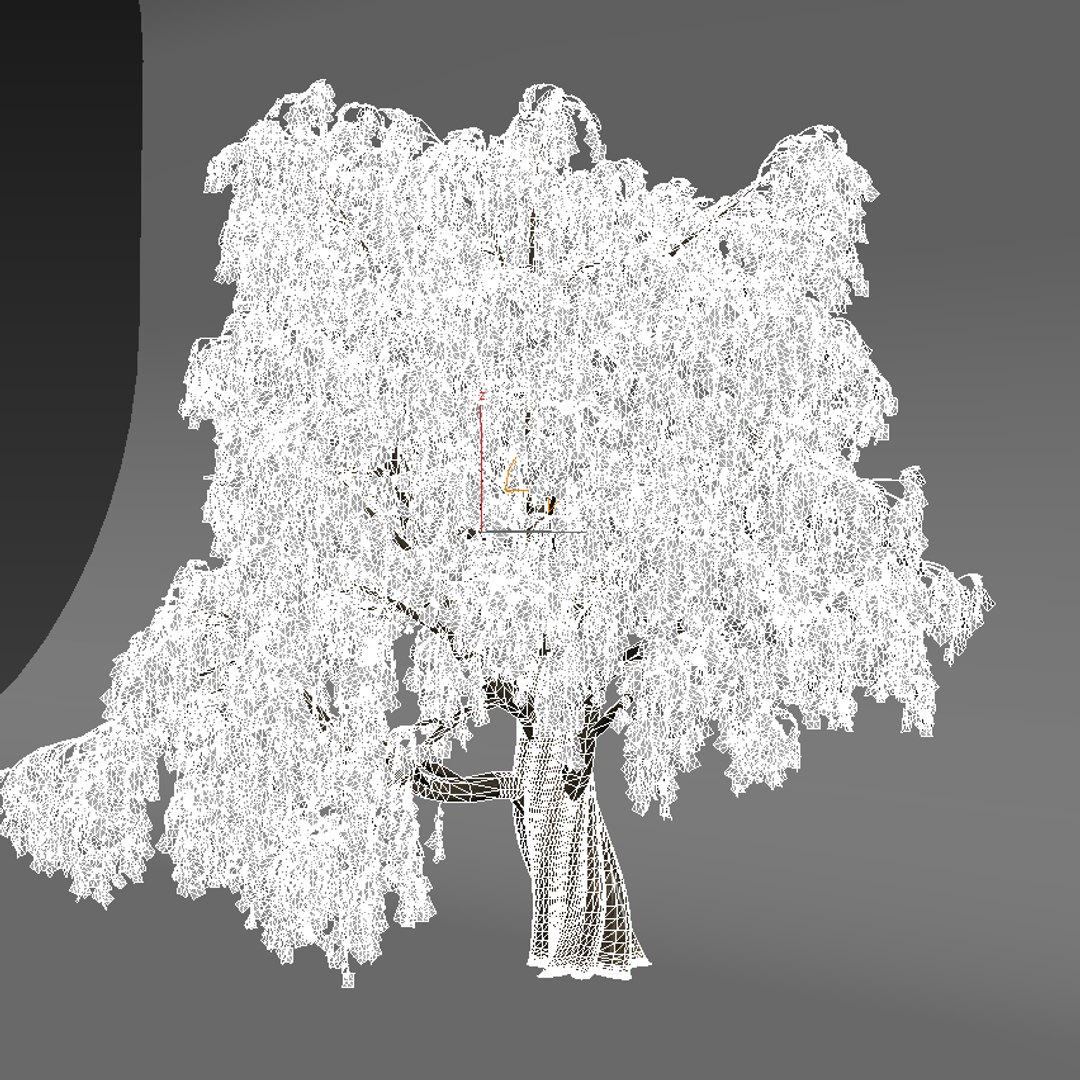 3d Old Tree Model