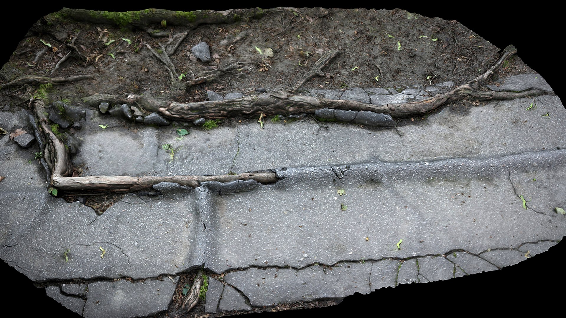 3D Roots Asphalt Damaged Road Part7 Photogrammetry - TurboSquid 2338077