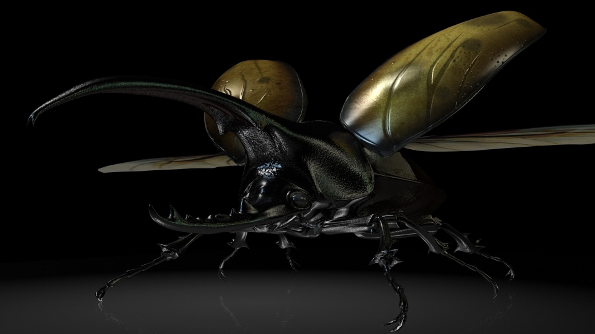 Insect 3D Model - TurboSquid 1214453