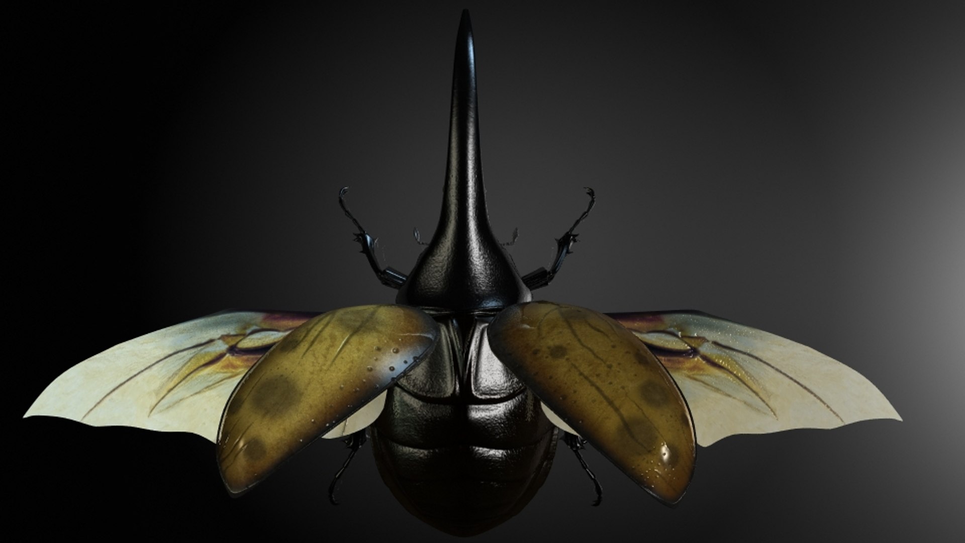 Insect 3D Model - TurboSquid 1214453
