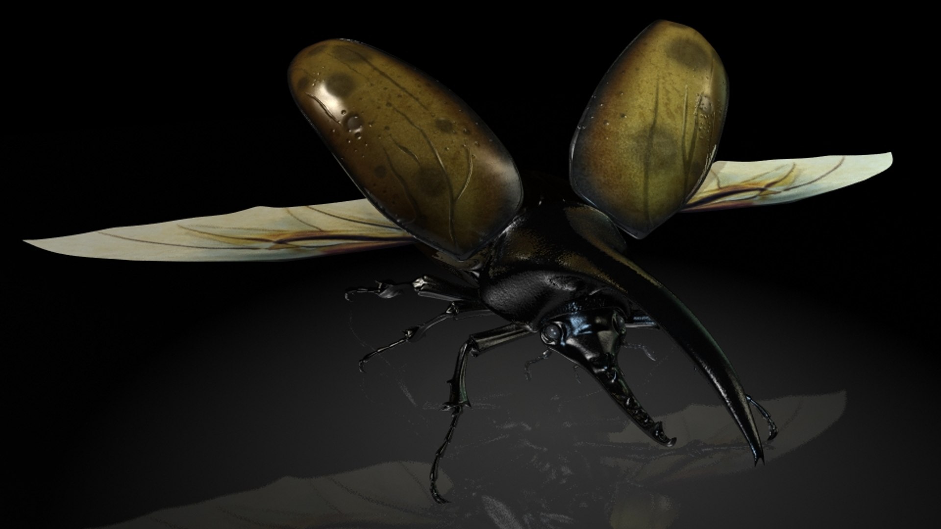 Insect 3D Model - TurboSquid 1214453