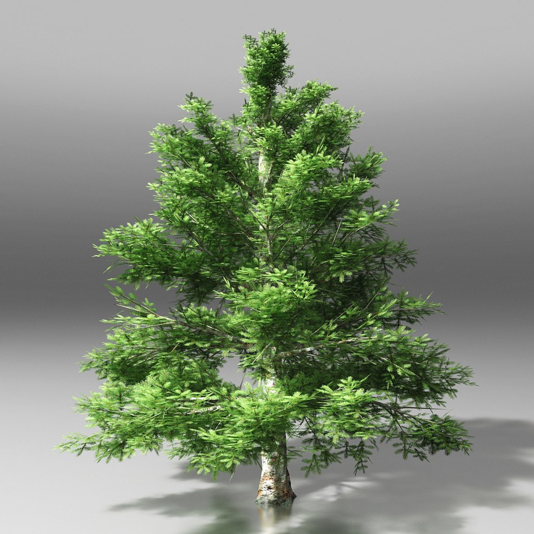 10 trees maple pine 3d max