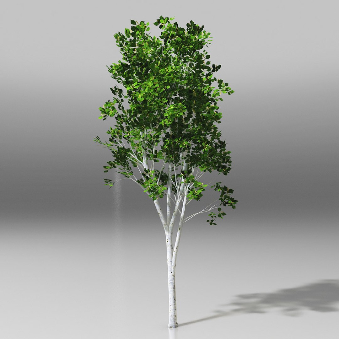 10 Trees Maple Pine 3d Max