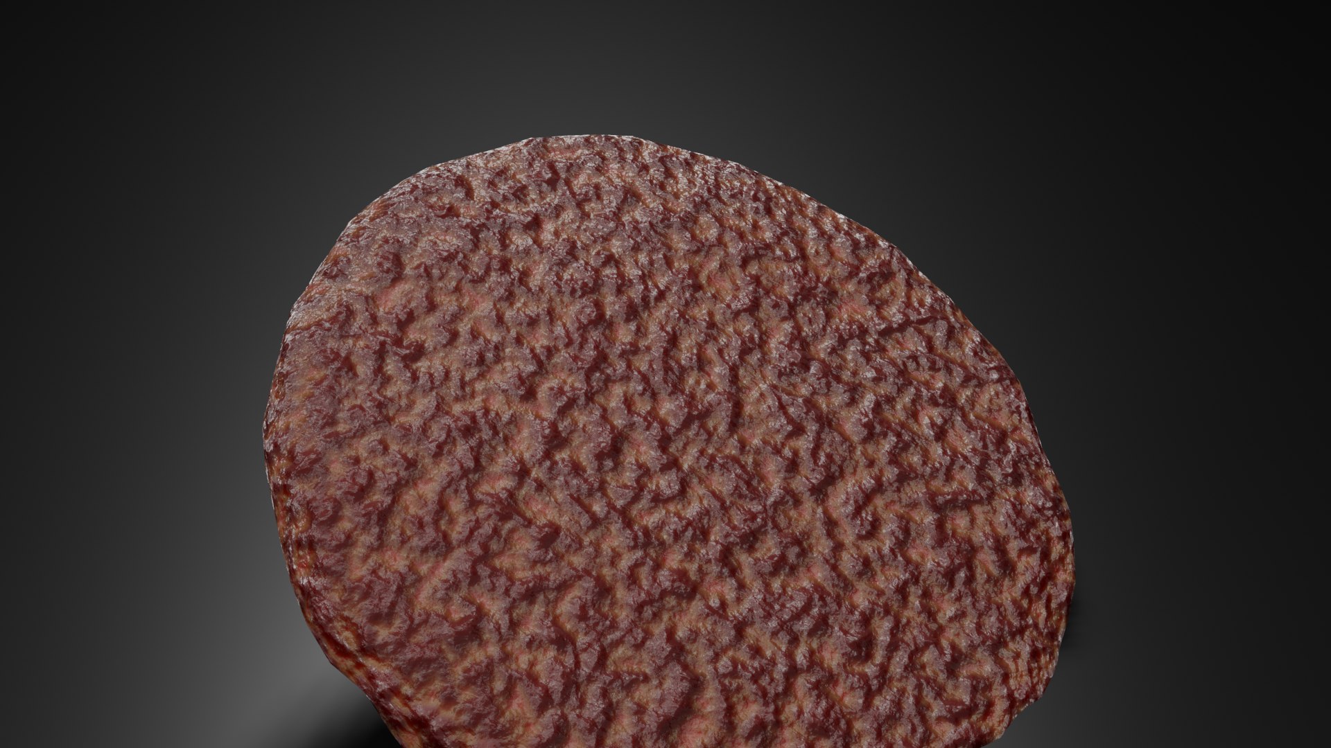 3D Model Burger Patty - TurboSquid 1744712