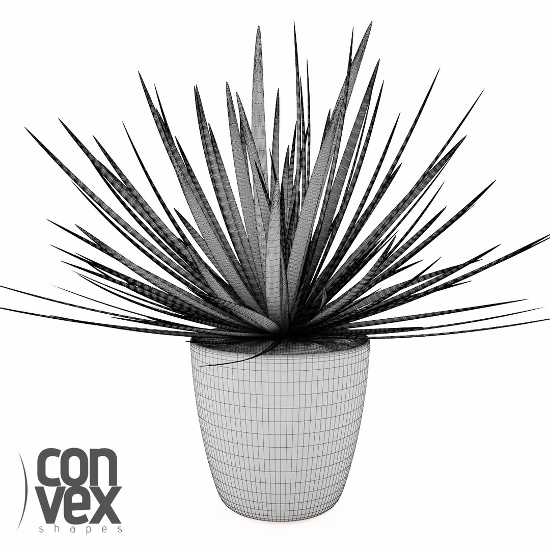 3d Potted Plants 07