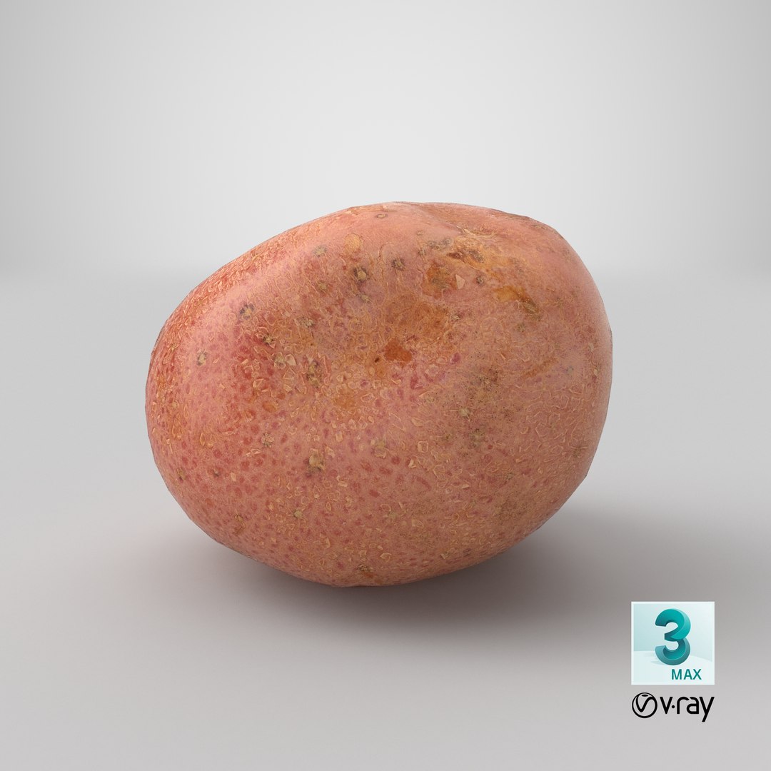 3D Red Potato 02 Ready Model - TurboSquid 1432370