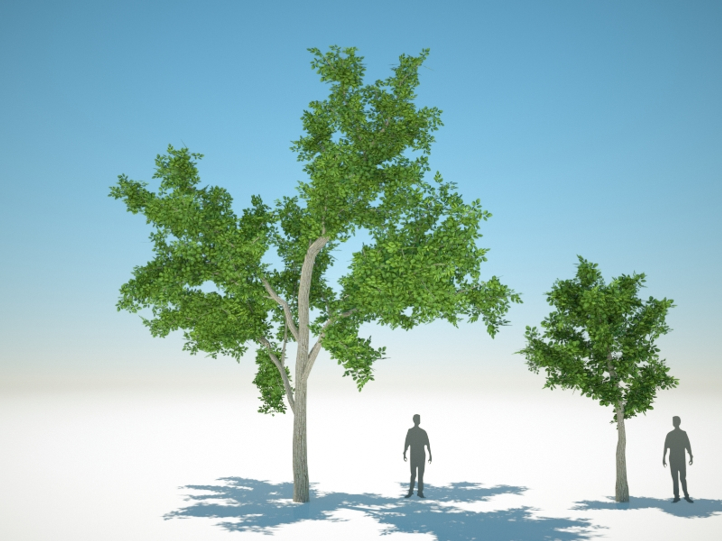 Trees Arch Gpu Model - TurboSquid 1155576