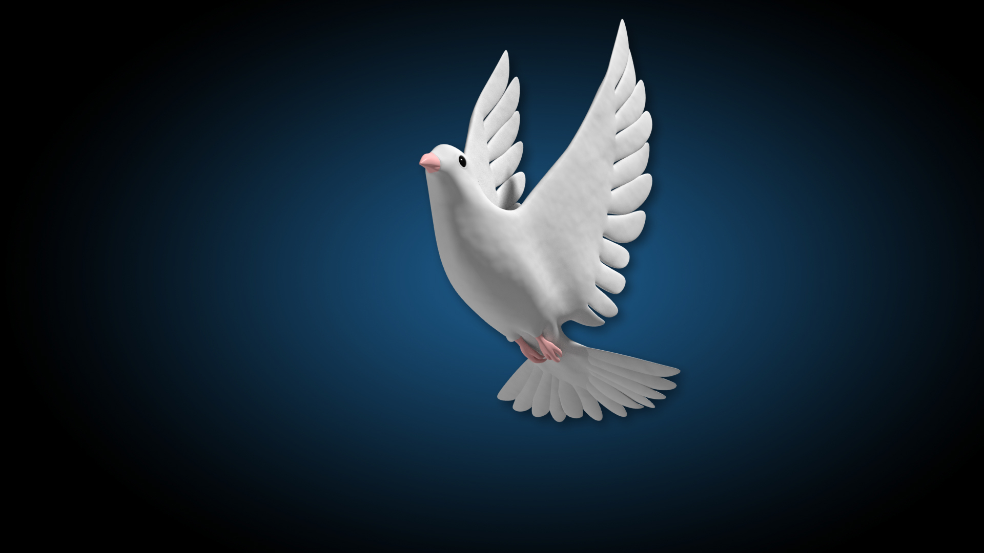 White Dove Bird 3d Model