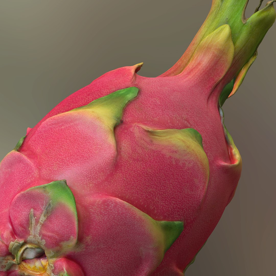 Scaned Dragonfruit Pitaya 3d Max