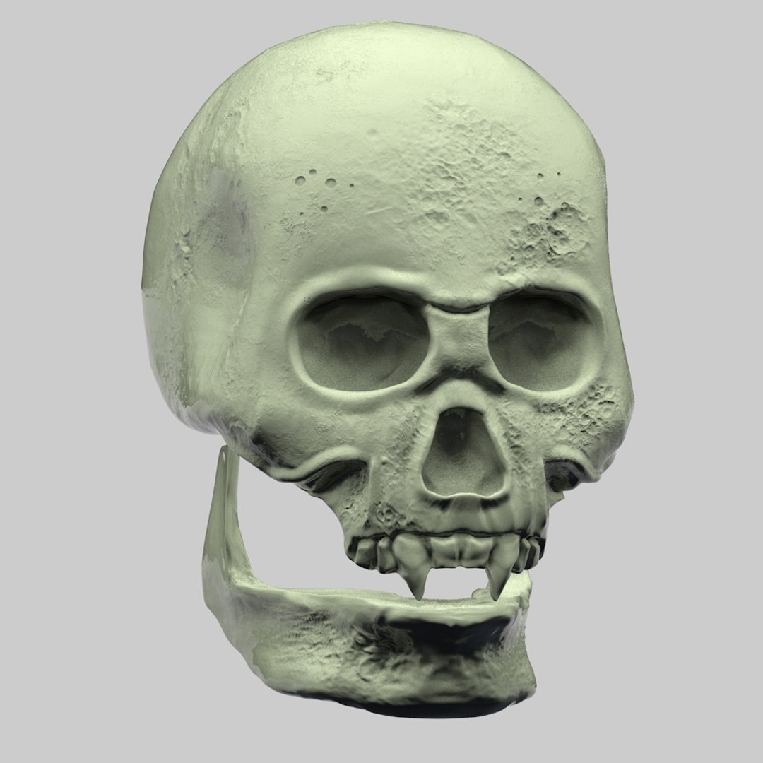 3D Vampire Skull Model - TurboSquid 1556667
