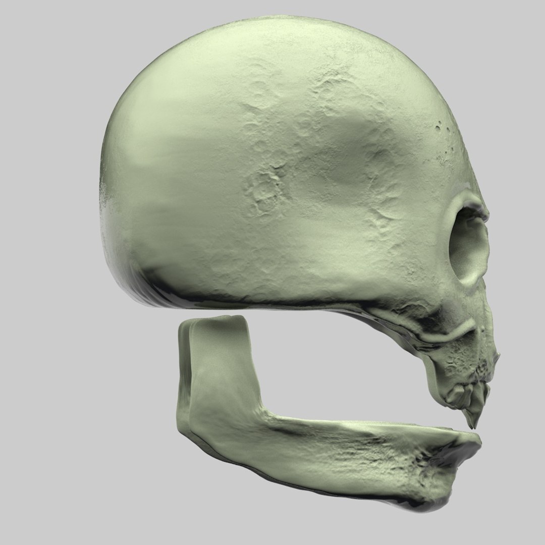 3D Vampire Skull Model - TurboSquid 1556667