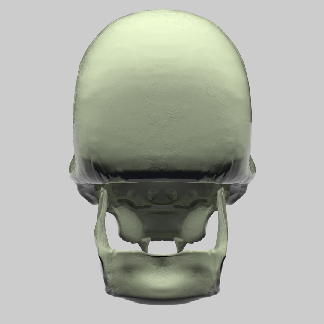 3D Vampire Skull Model - TurboSquid 1556667