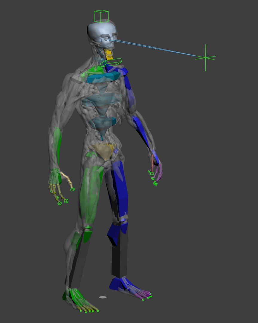 Rigging Skin 3D Model - TurboSquid 1409409