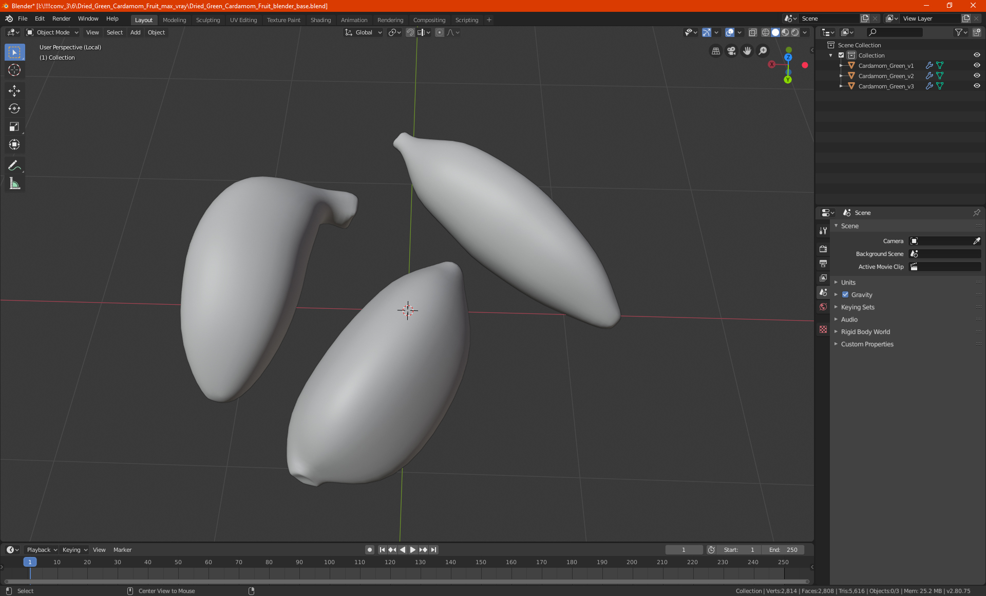 3D Dried Green Cardamom Fruit model - TurboSquid 1918928
