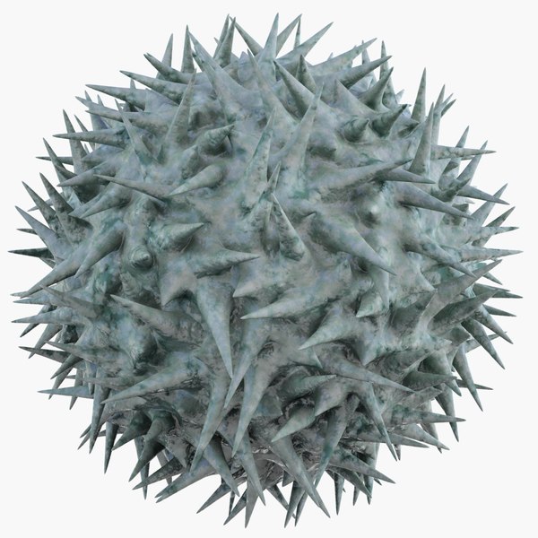 micro object mht max