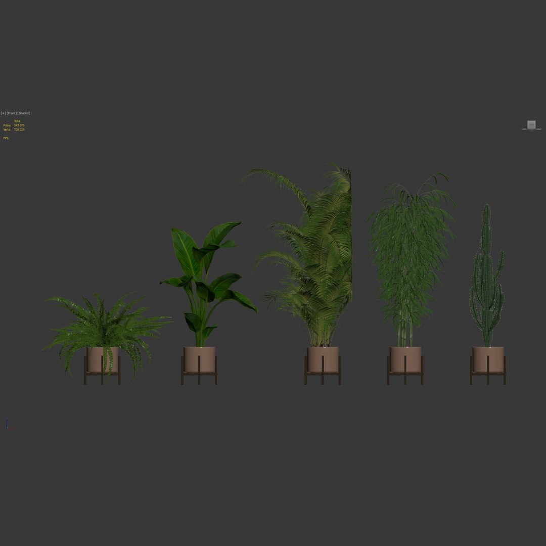3D Plants Collection 137 - TurboSquid 1968362