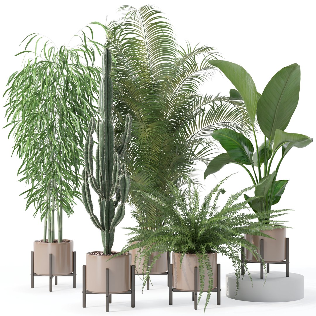 3D Plants Collection 137 - TurboSquid 1968362