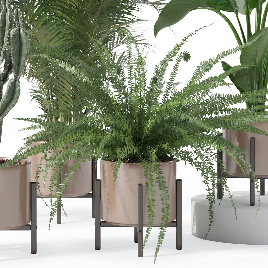 3D Plants Collection 137 - TurboSquid 1968362