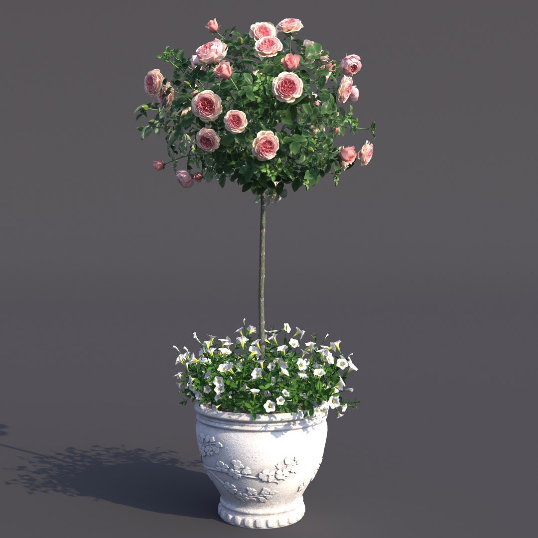 Rose Bush Pot 2 3D Model - TurboSquid 1562675