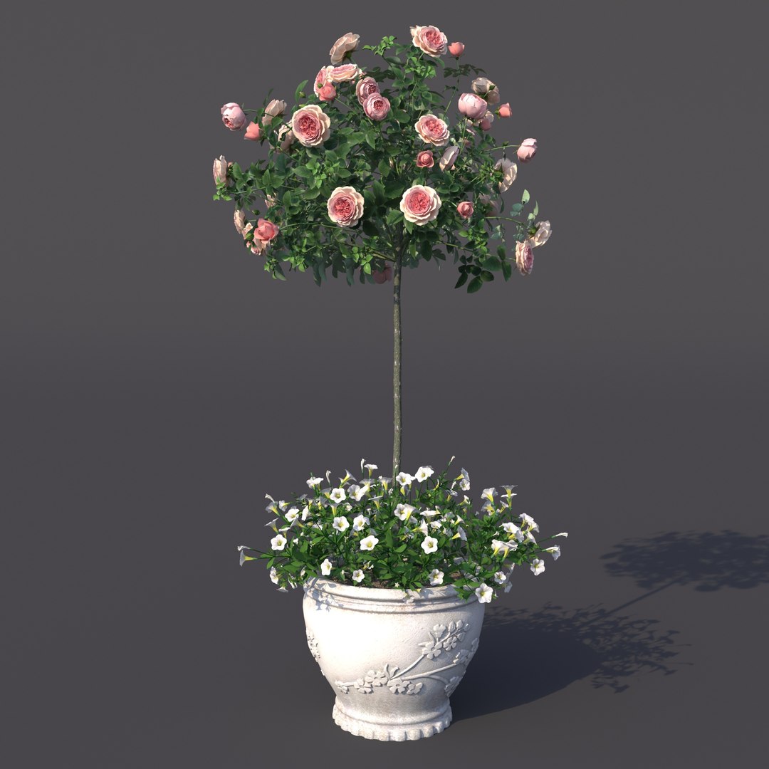 Rose Bush Pot 2 3D Model - TurboSquid 1562675