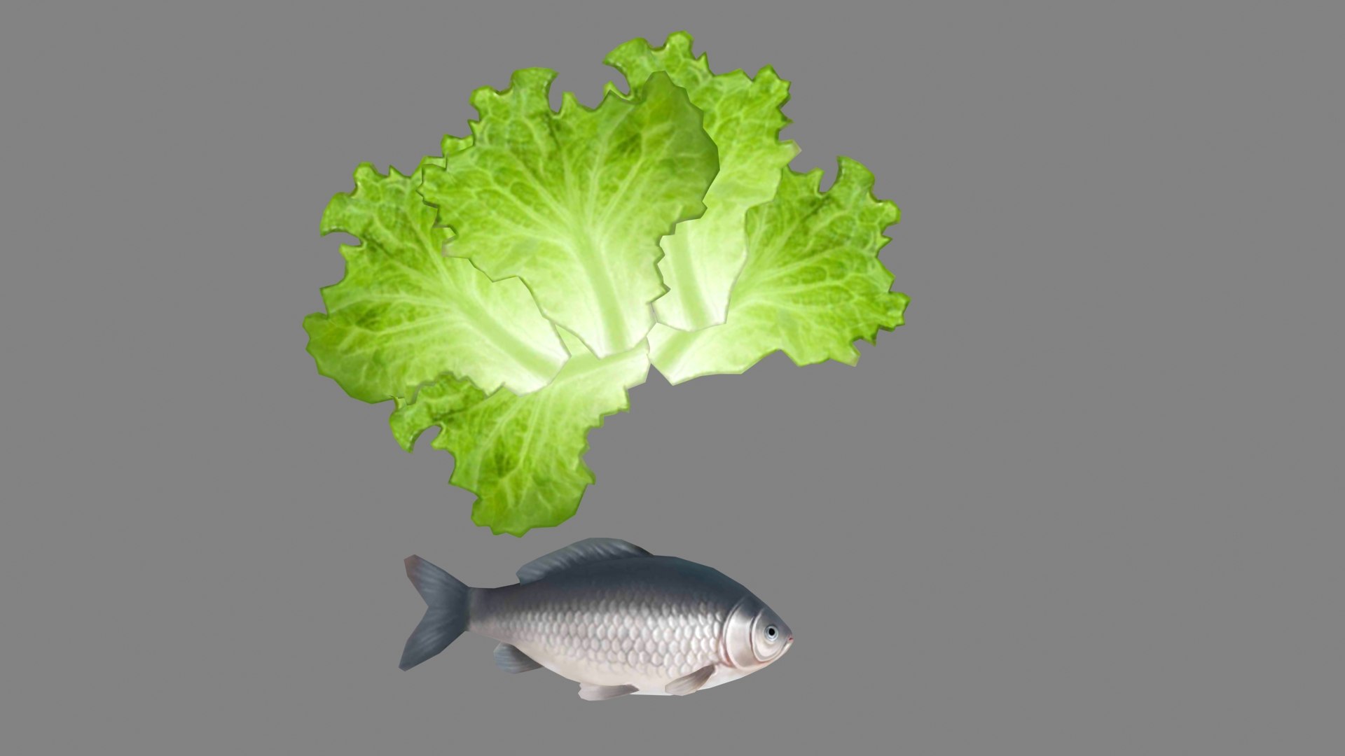 3D Model Cartoon Fish And Vegetable - TurboSquid 2110496