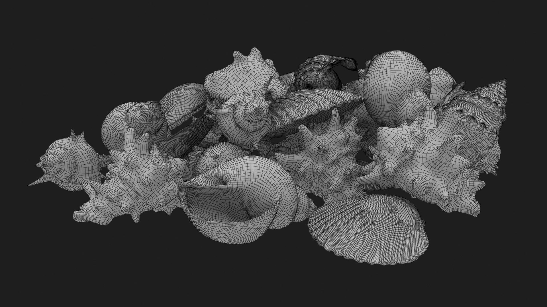3D Seashell Pile V1 02 - TurboSquid 2258613