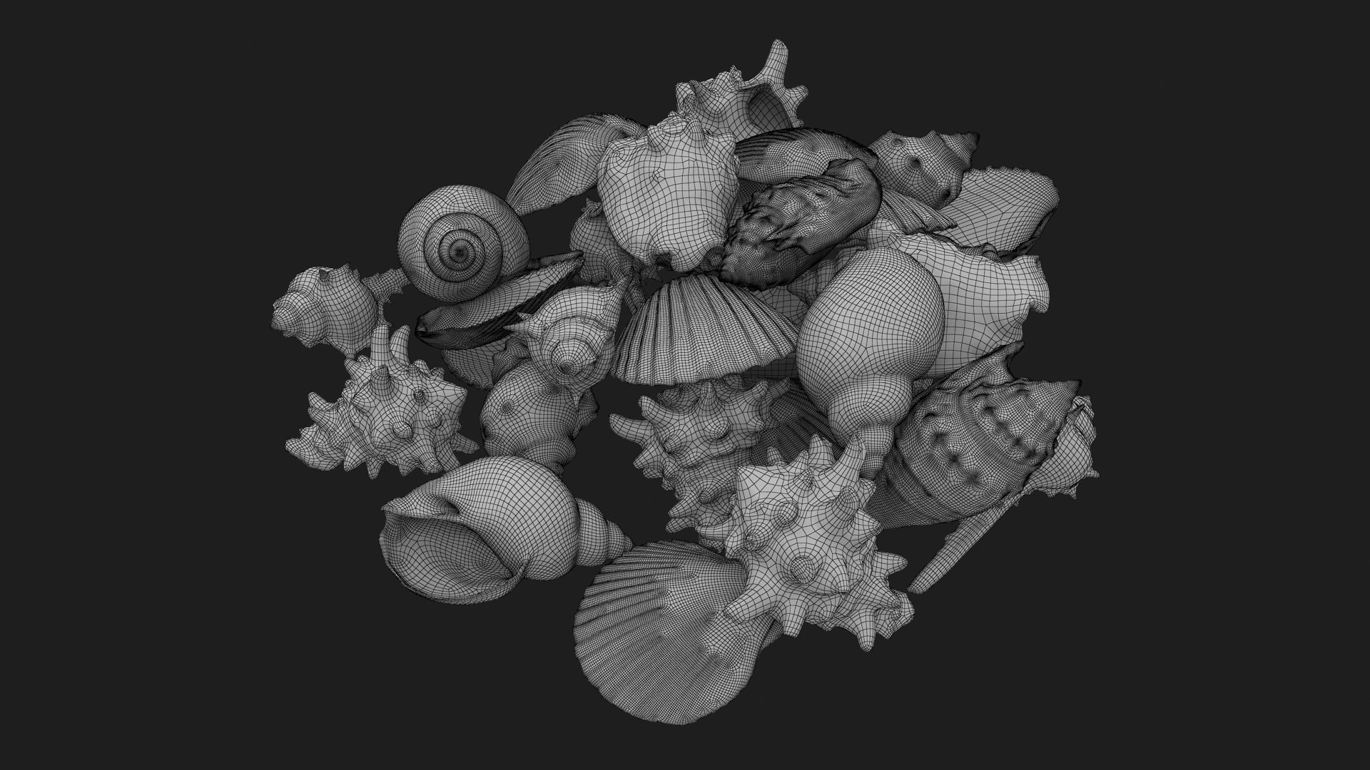 3D Seashell Pile V1 02 - TurboSquid 2258613