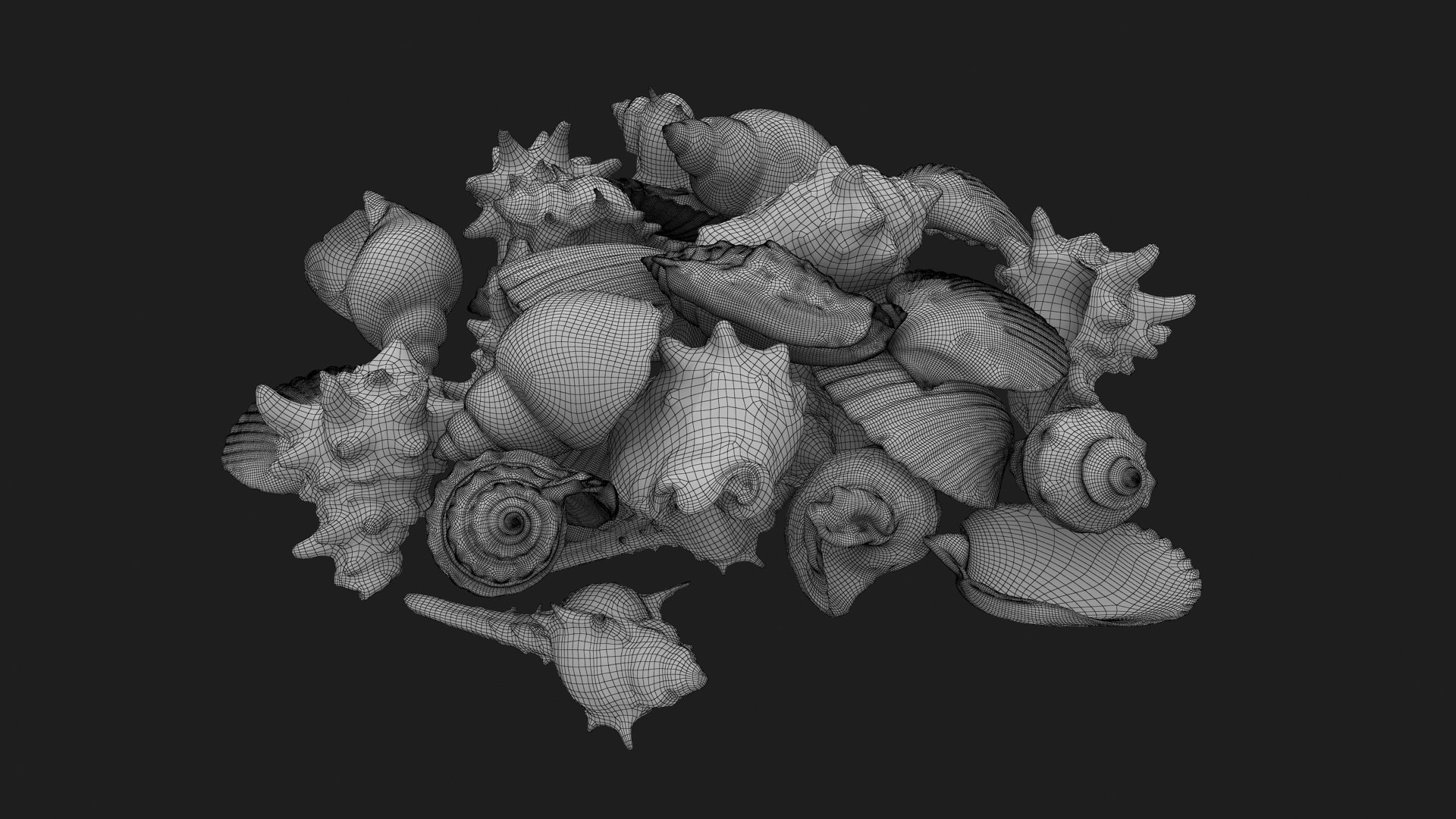3D Seashell Pile V1 02 - TurboSquid 2258613