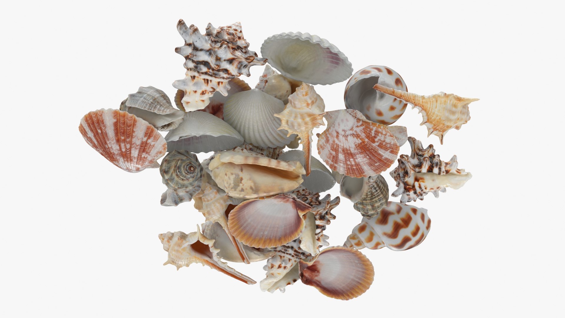 3D Seashell Pile V1 02 - TurboSquid 2258613